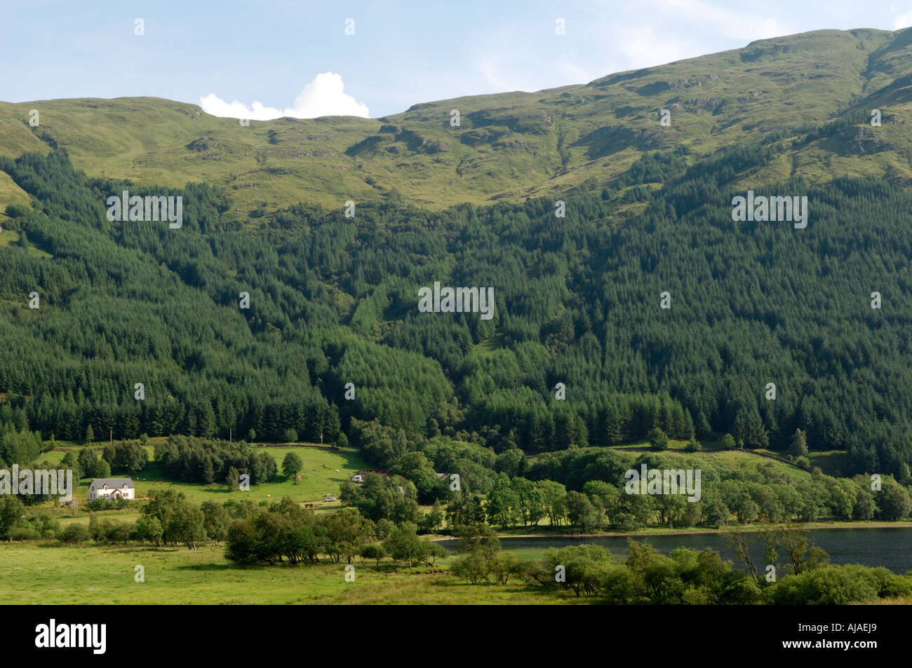 Soul Of The Highlands High Resolution Stock Photography and Images - Alamy