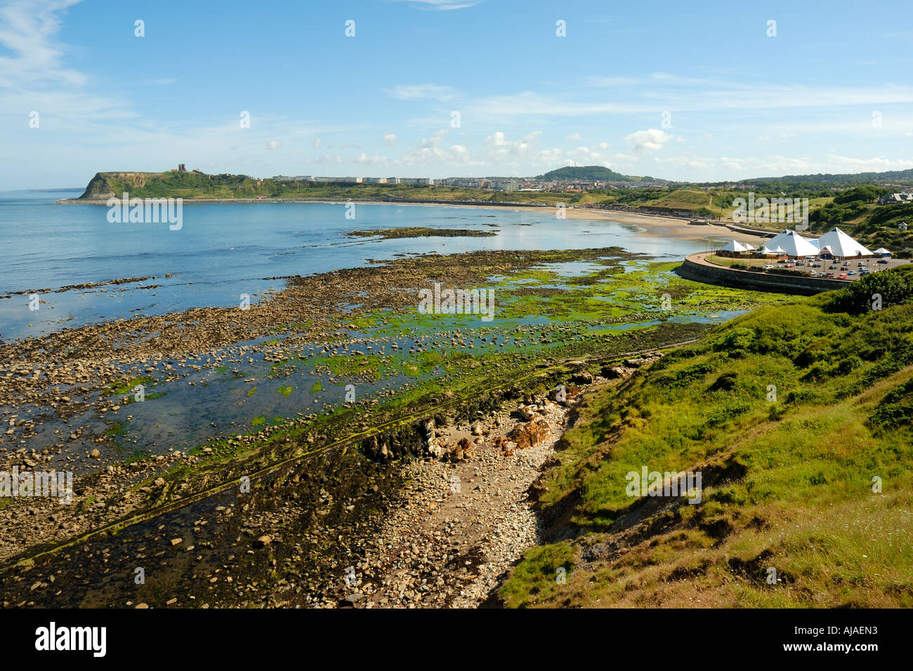 Sea life centre scarborough hi-res stock photography and images - Alamy