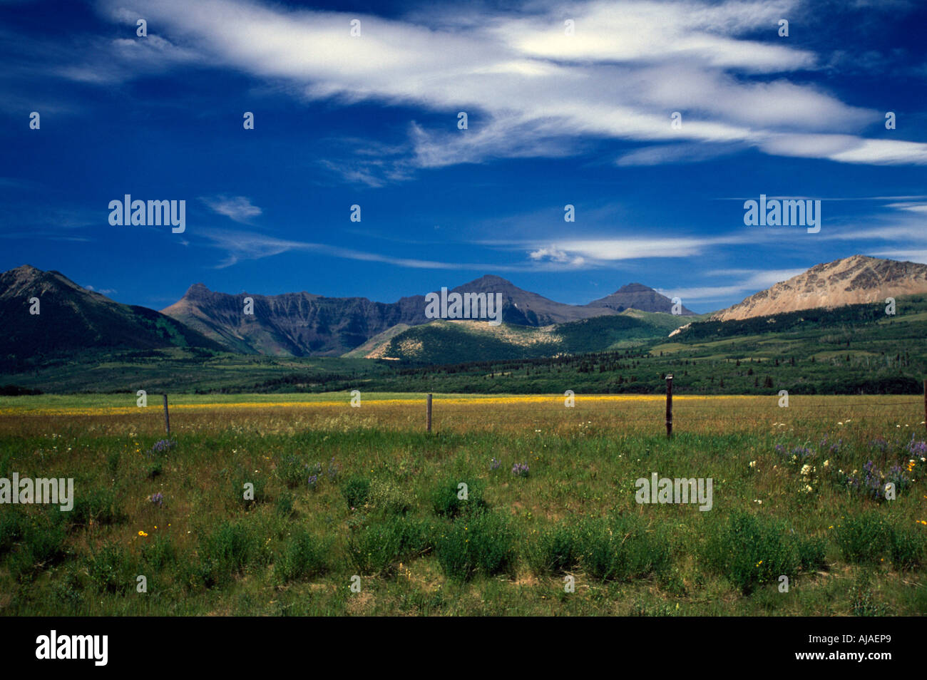 Prairie grasslands and mountains of Waterton Lakes National Park ...