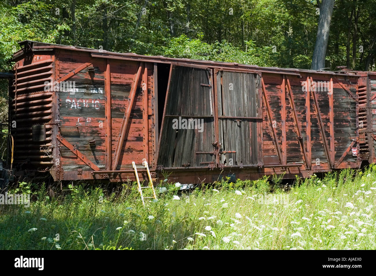An old rotting out wooden boxcar Stock Photo: 8385823 - Alamy