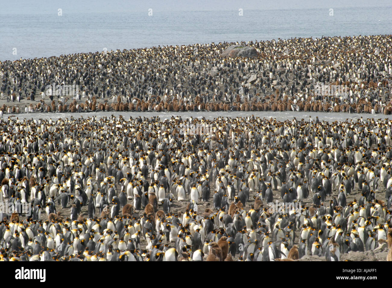 World largest icebreaker hi-res stock photography and images - Alamy