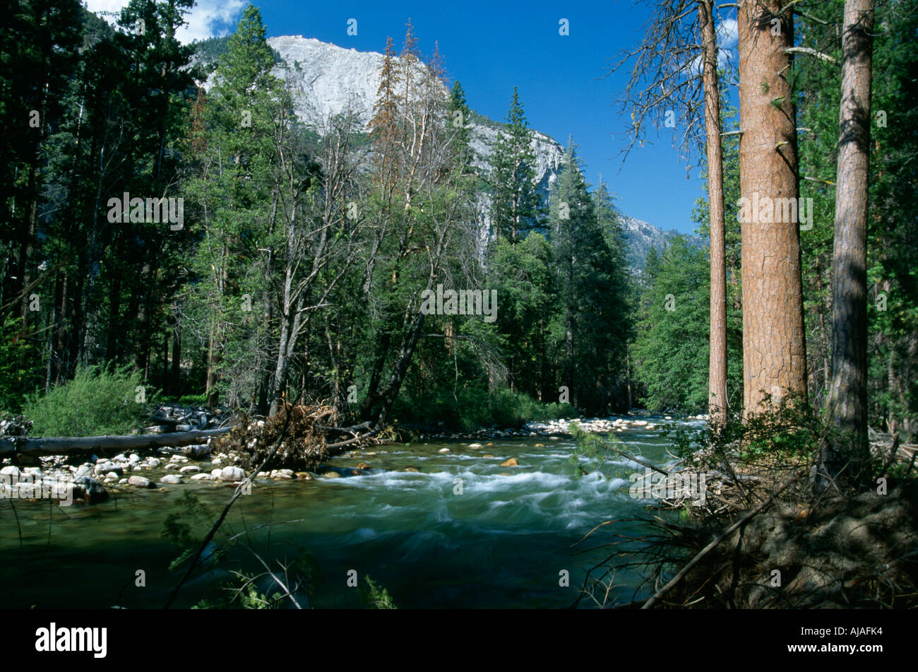 Kings River flowing through valley of Kings Canyon National Park Sierra ...