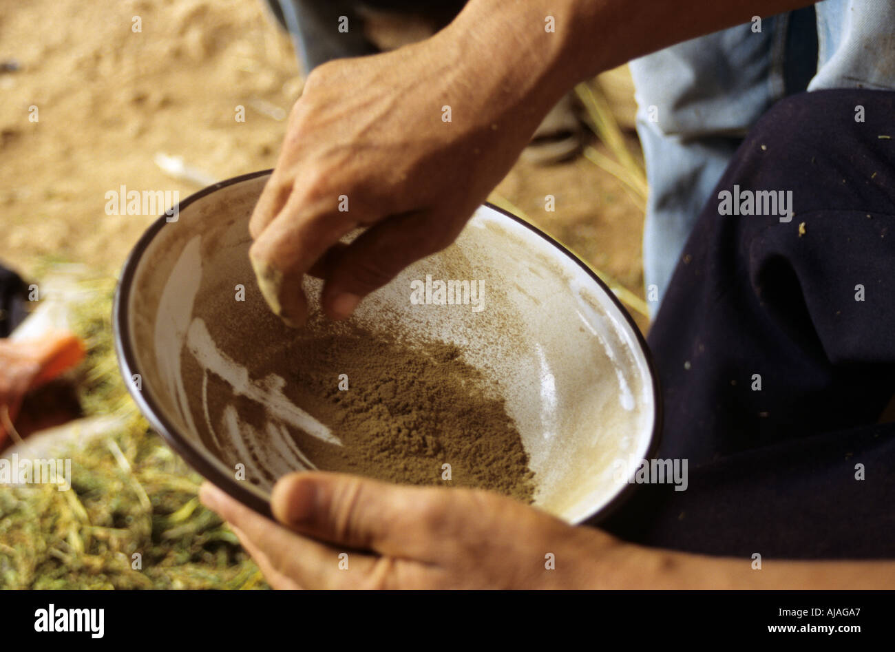 Marijuana Pollen High Resolution Stock Photography and Images - Alamy