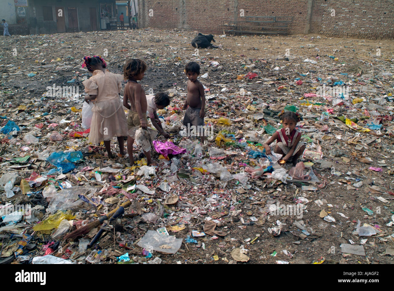 Rag Pickers India Stock Photos & Rag Pickers India Stock Images - Alamy