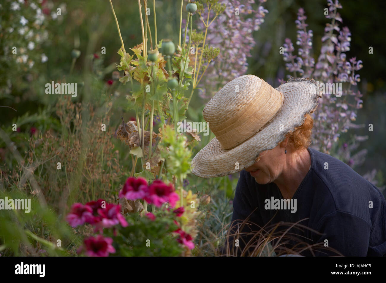 Woman gardening model released england hi-res stock photography and ...