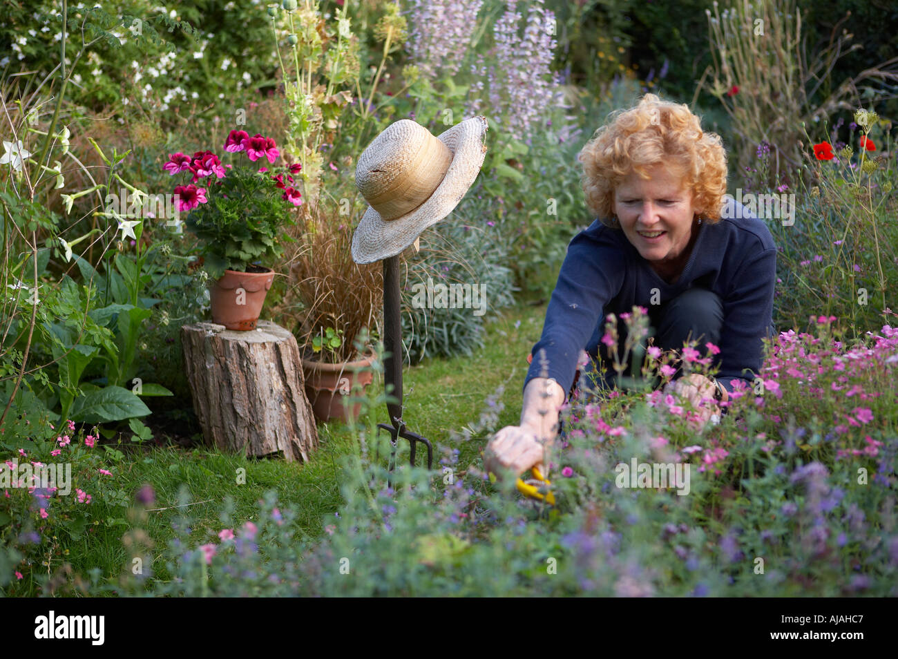 Woman gardening model released england hi-res stock photography and ...