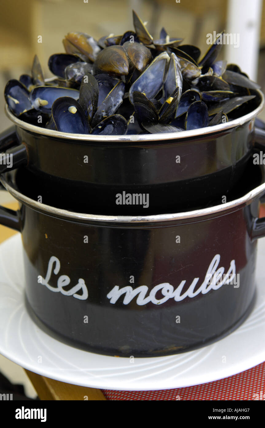 les moules mussels seafood food delicacy french france charent maritime ...