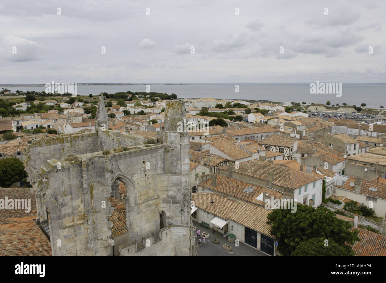 aerial view saint martin de re il de re island coast coastal houses ...