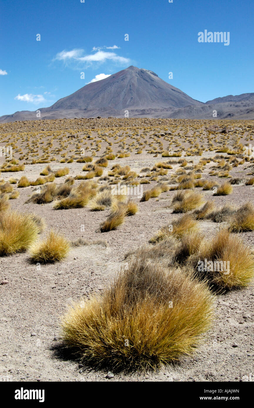 Cerro colorado bolivia hi-res stock photography and images - Alamy