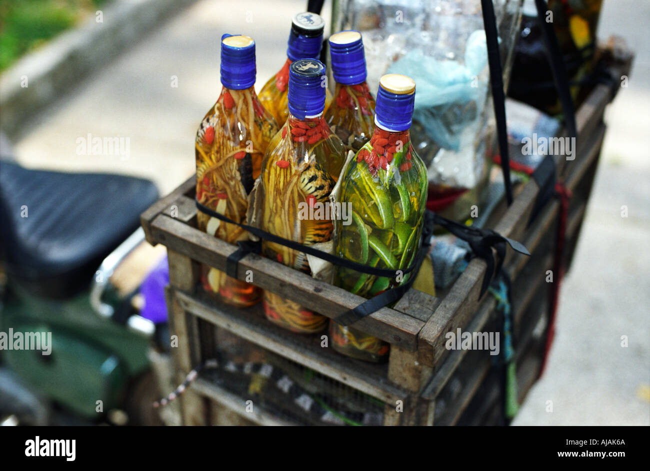 Snakes In Basket High Resolution Stock Photography and Images - Alamy