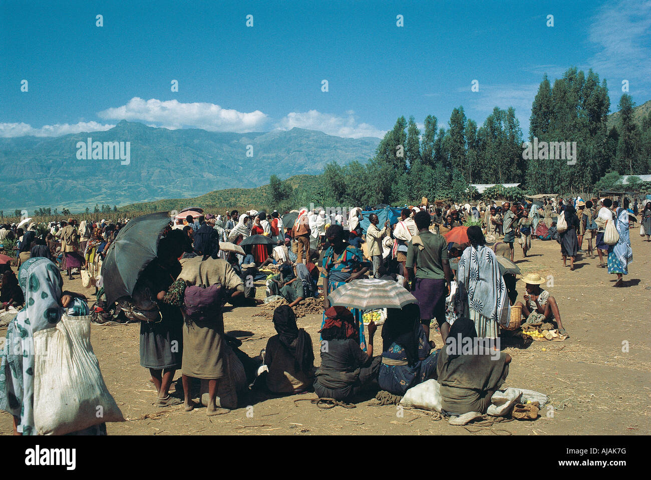 Wollo hi-res stock photography and images - Alamy