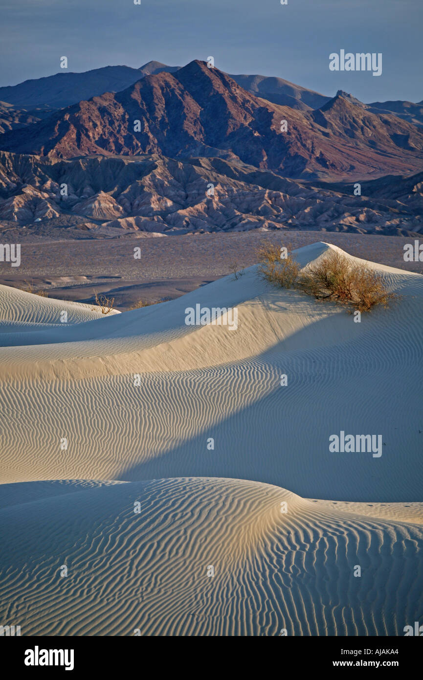 Perfect sand dunes patterns hi-res stock photography and images - Alamy