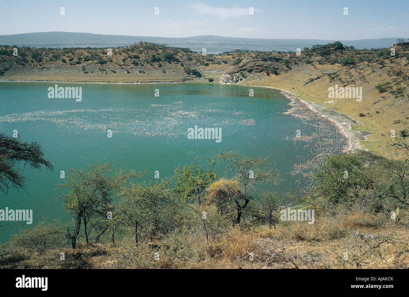 Lake Cheetu in the Abiatta Shalla Lakes National Park Ethiopia Stock ...