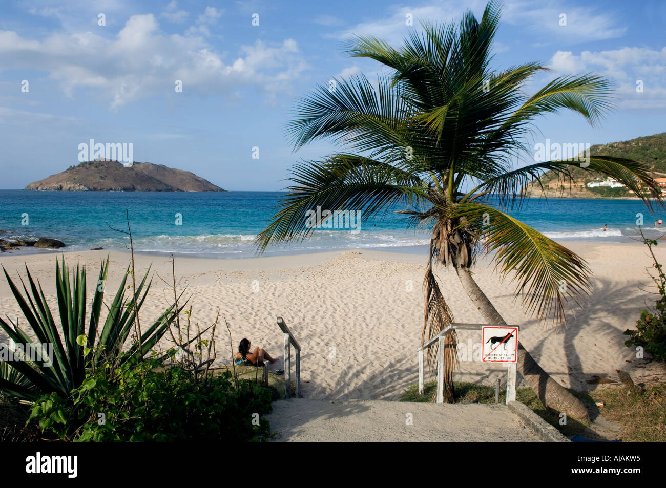 Flamand hi-res stock photography and images - Alamy