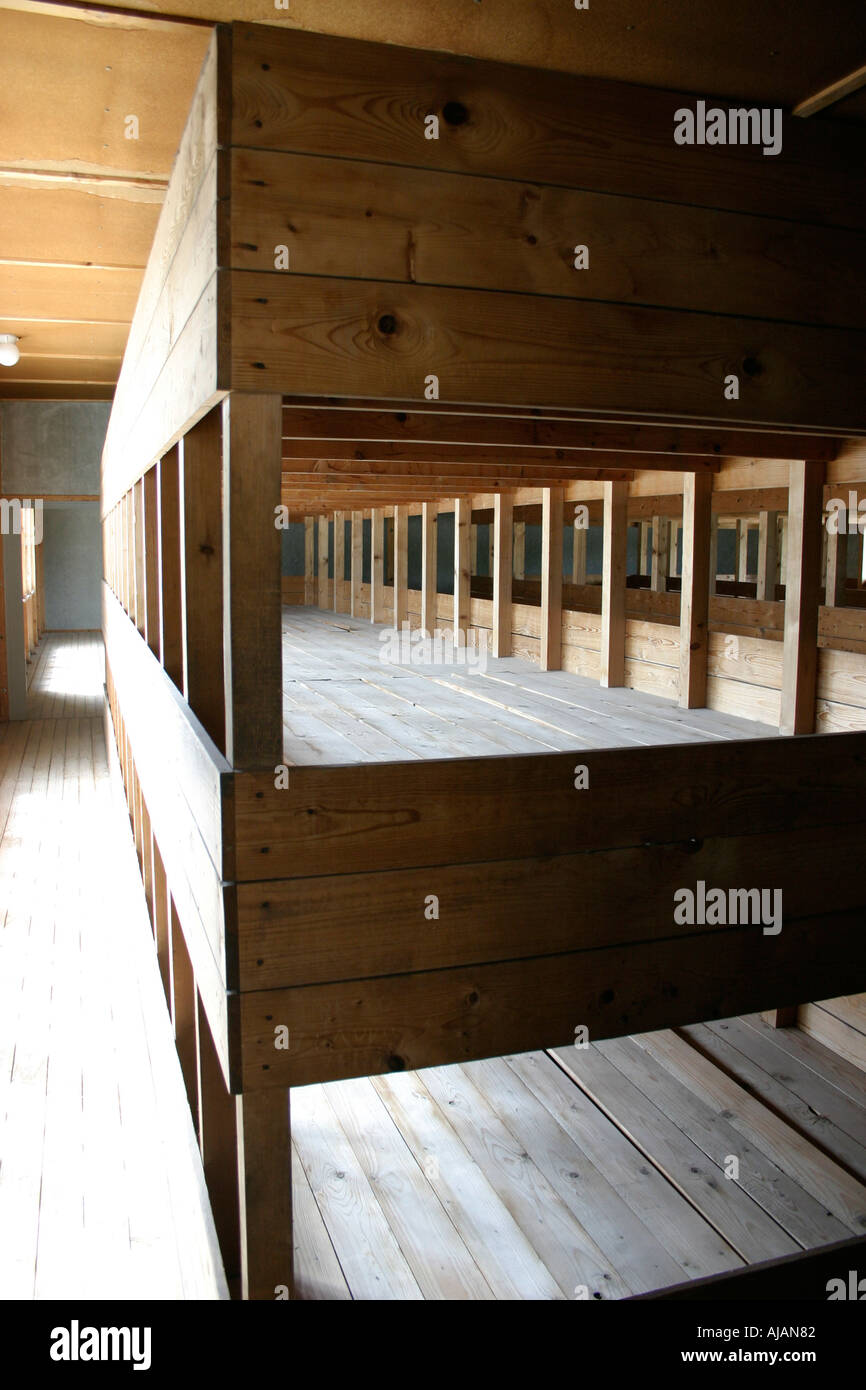 Bunks at Dachau Stock Photo - Alamy