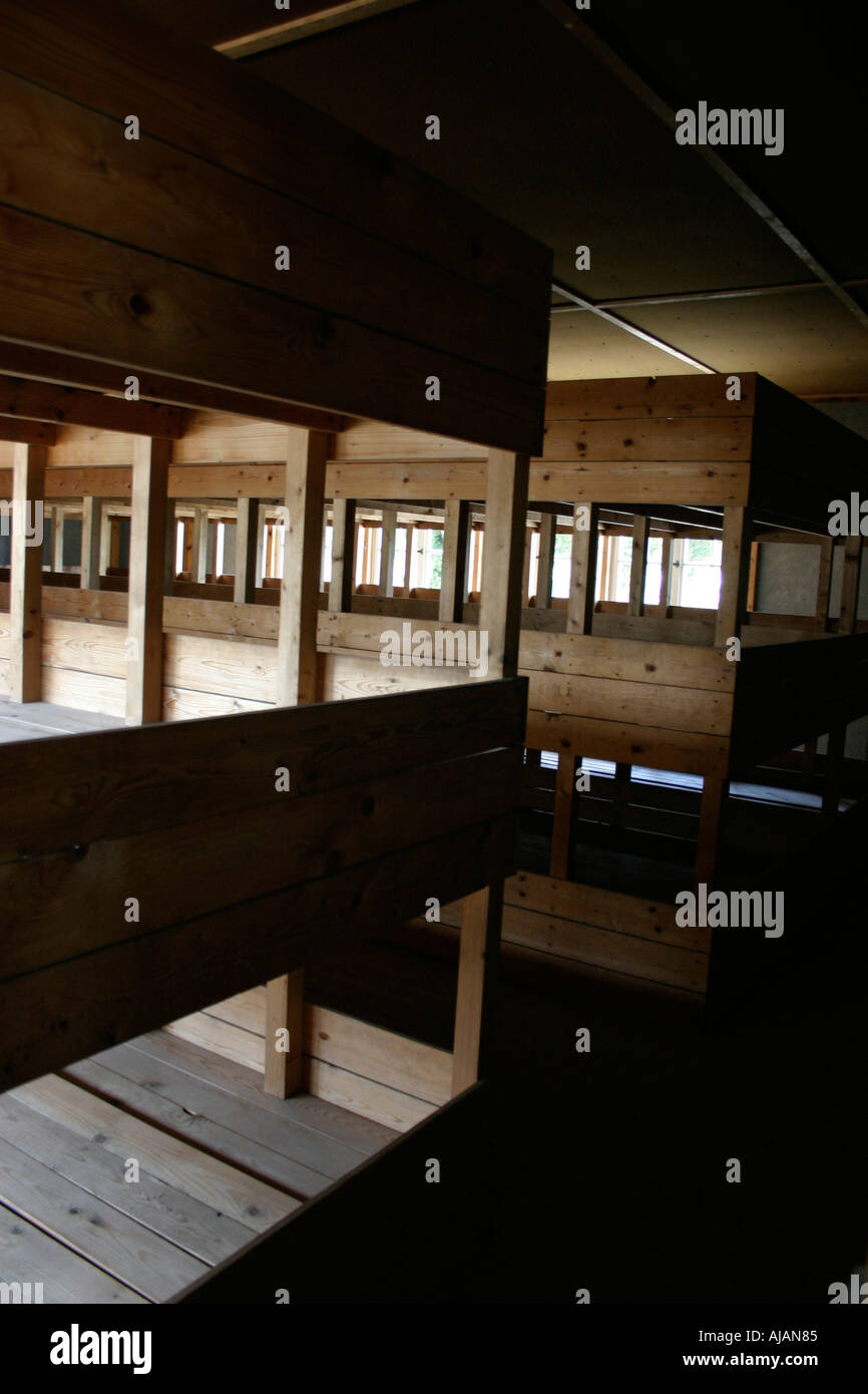 Bunks at Dachau Stock Photo - Alamy