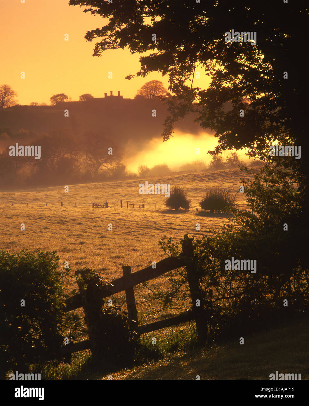 Early Morning Mist and Fog in River Gowy Valley at Dawn Near Bunbury ...