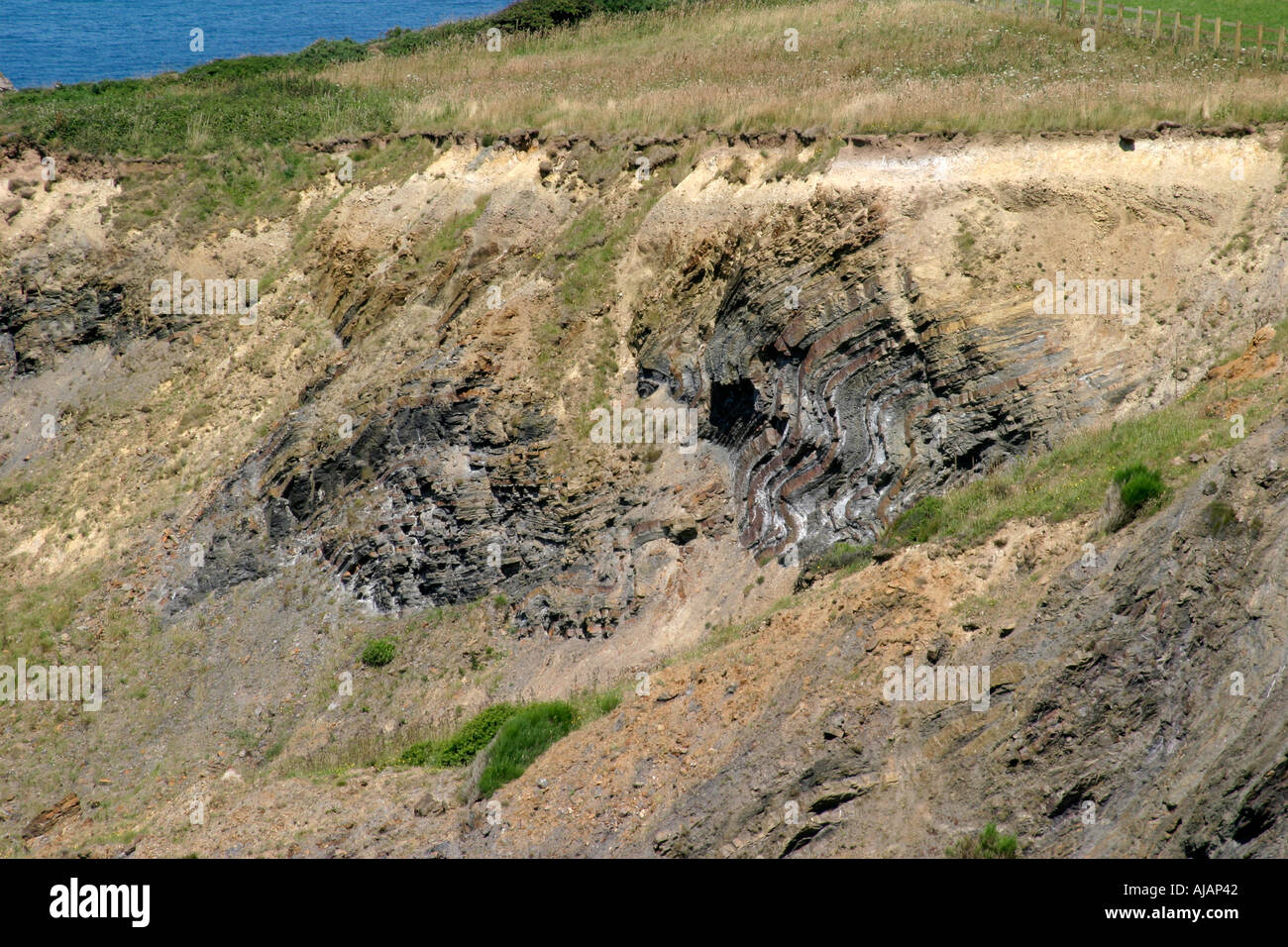 Folded Rock Formations Millook North Cornwall Coast Path Stock Photo ...