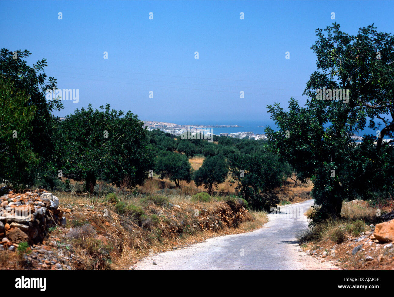 Crete native hi-res stock photography and images - Alamy