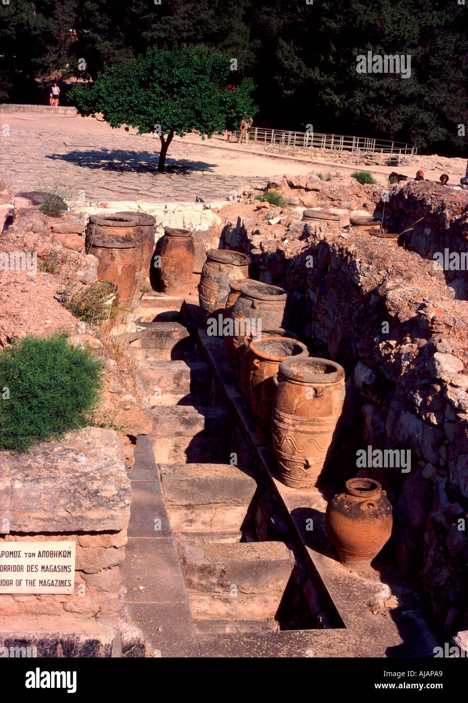 Storage jars for grain crete greece knossos the palace of the minoan ...