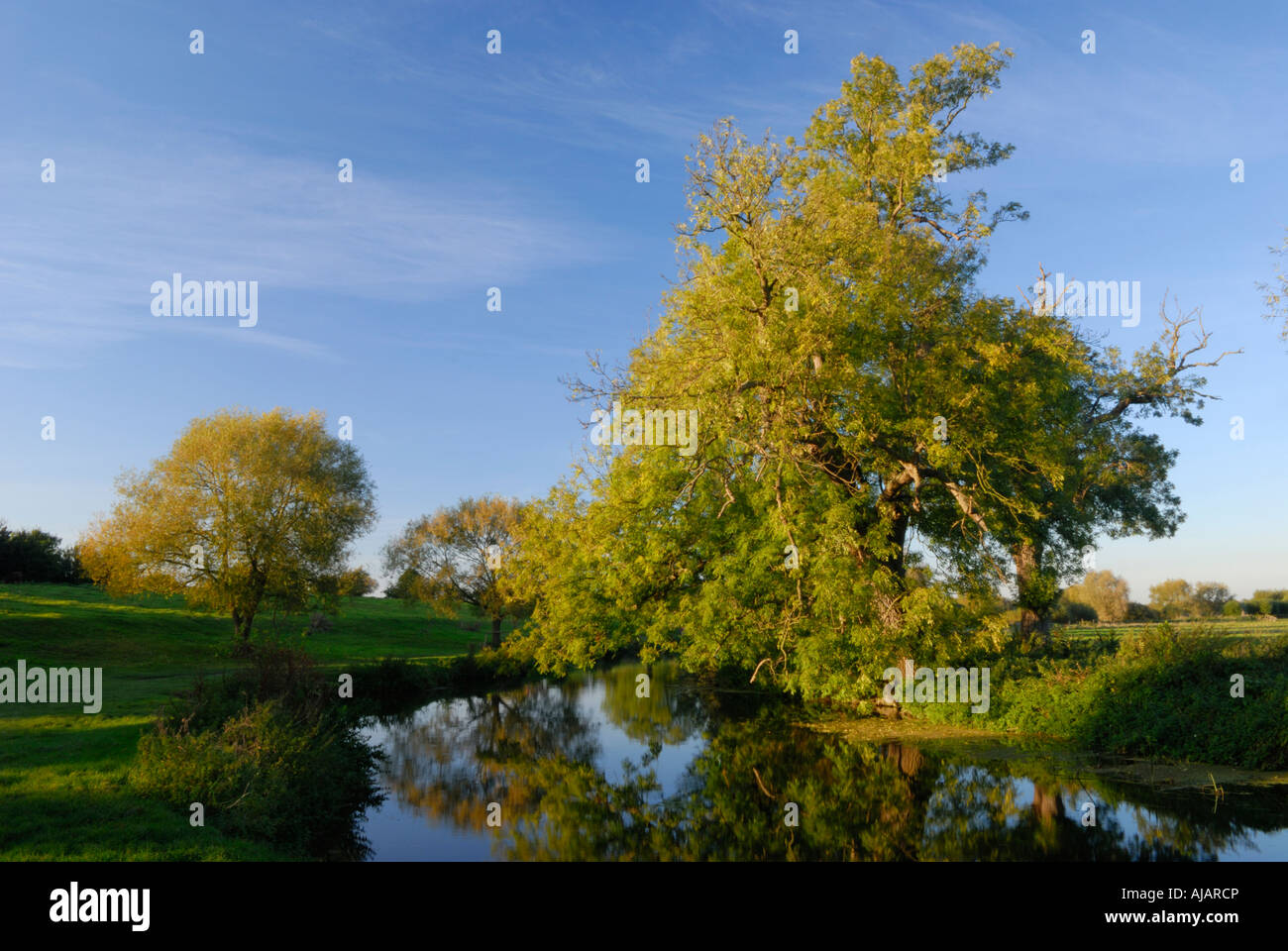 Grantchester Meadows and the River Cam Cambridge England UK Stock Photo ...