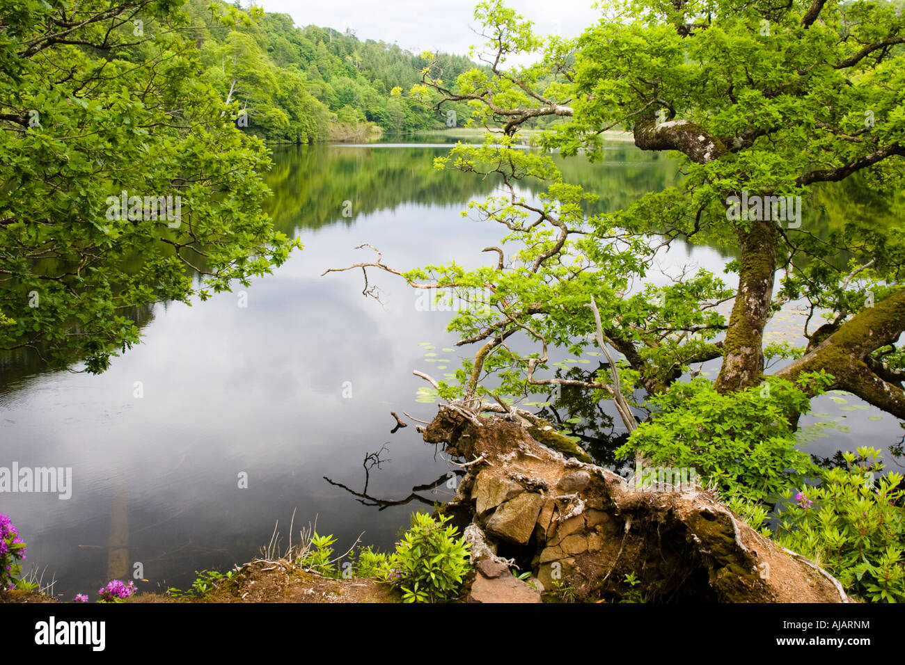 Scottish Loch, Isle of Mull Stock Photo - Alamy