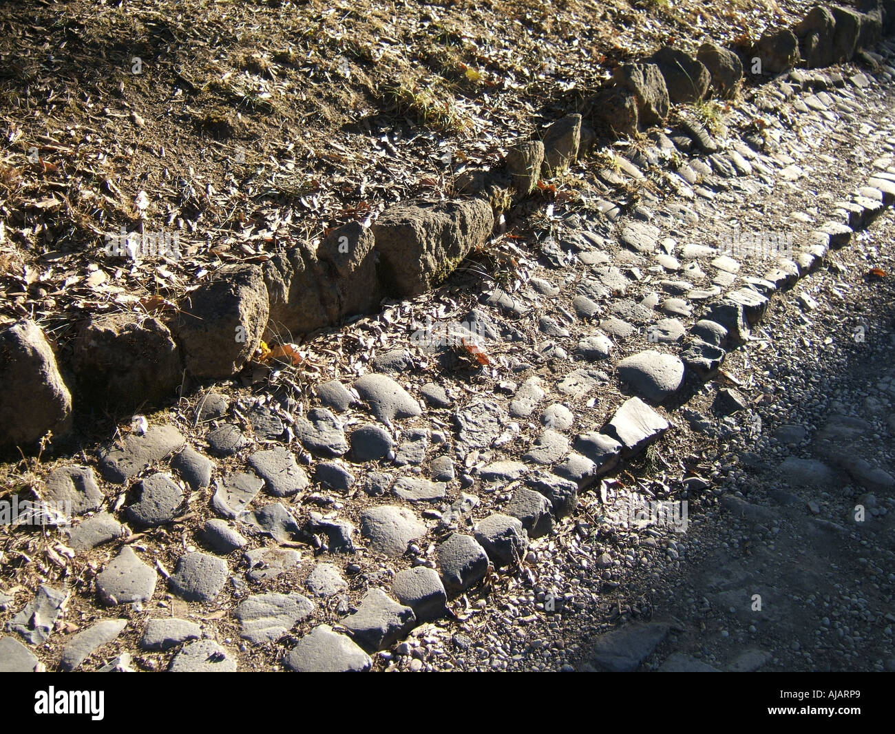 path with cobble stones in countryside Stock Photo - Alamy