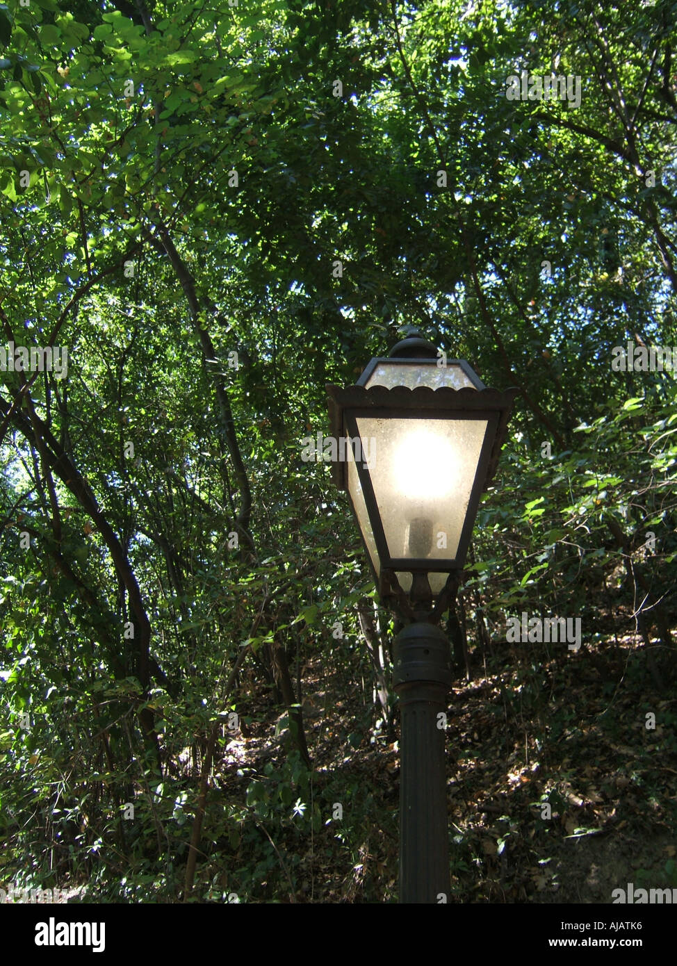 lamp post lit in day time with trees in background Stock Photo - Alamy