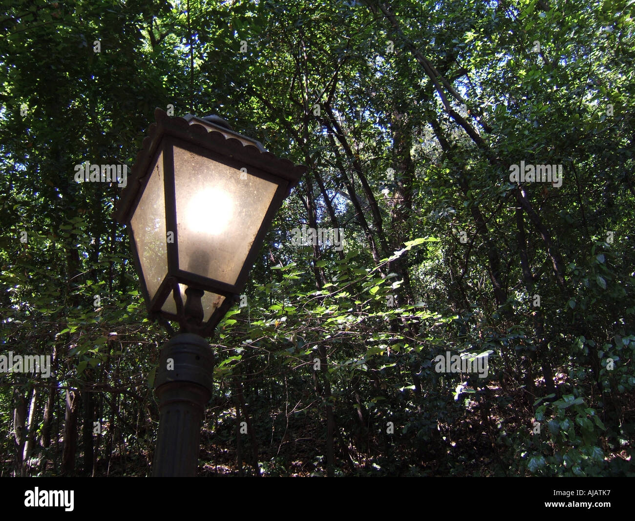 Lit lamp post in woods hi-res stock photography and images - Alamy
