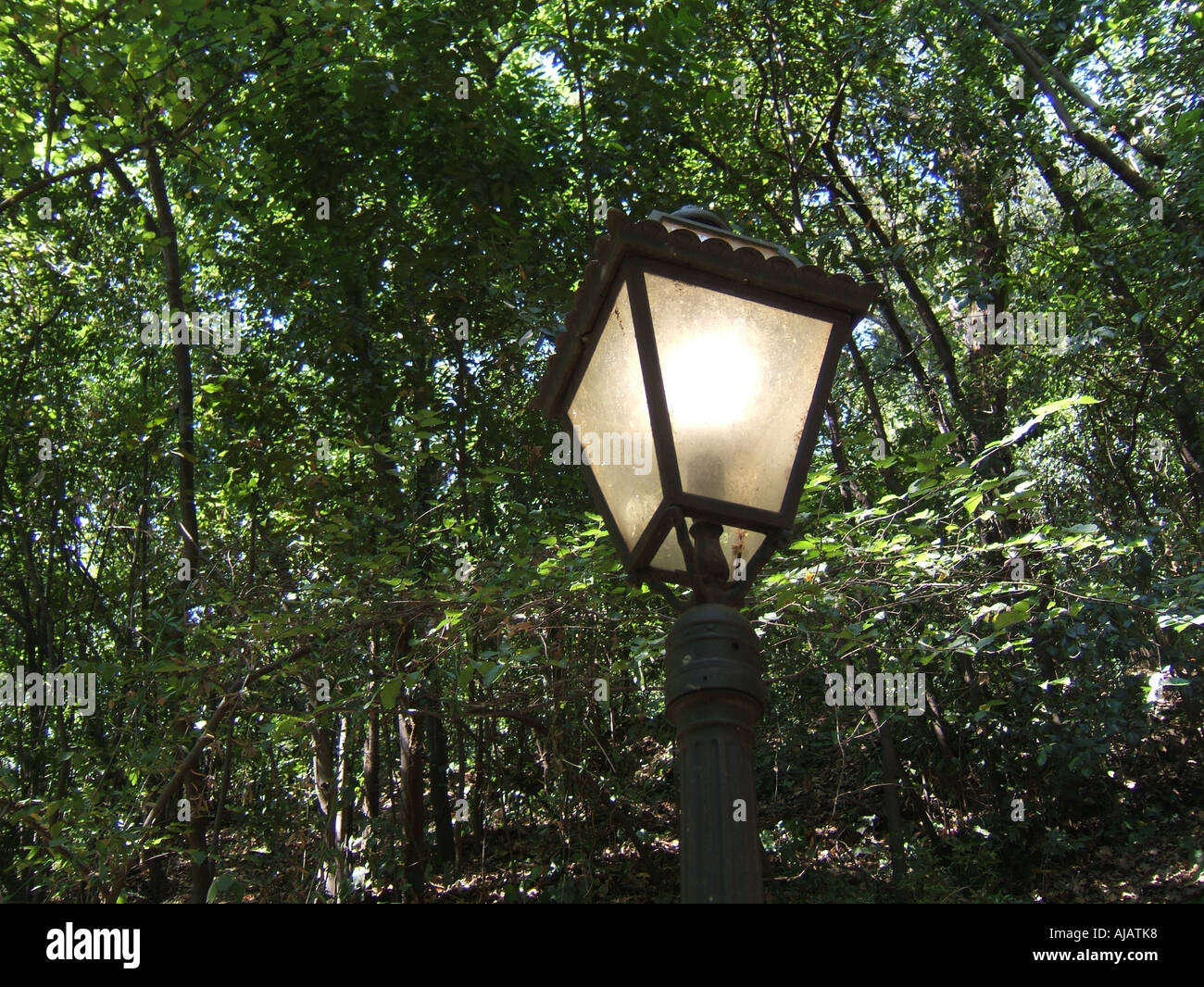lamp post lit in day time with trees in background Stock Photo - Alamy