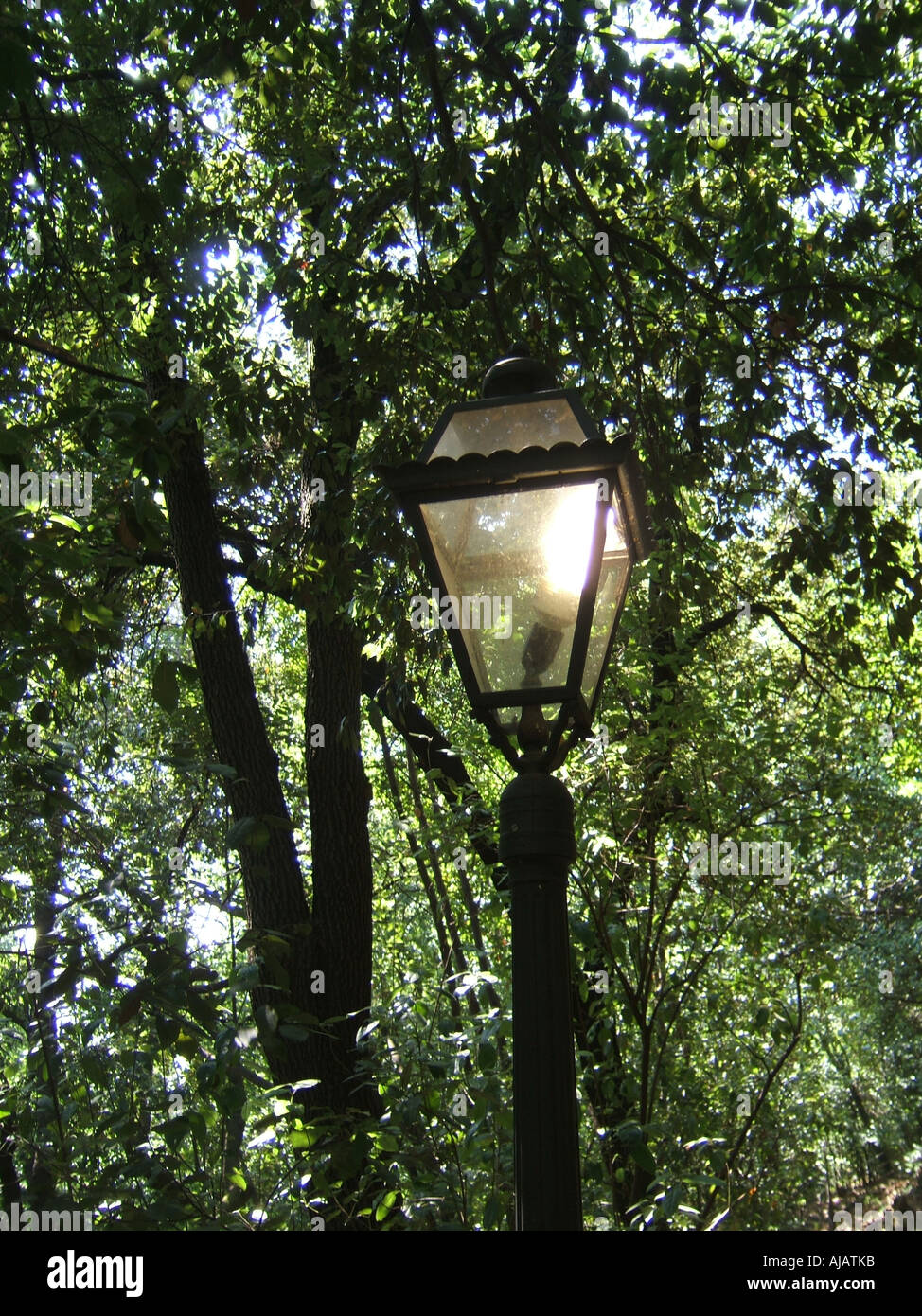 lamp post lit in day time with trees in background Stock Photo - Alamy