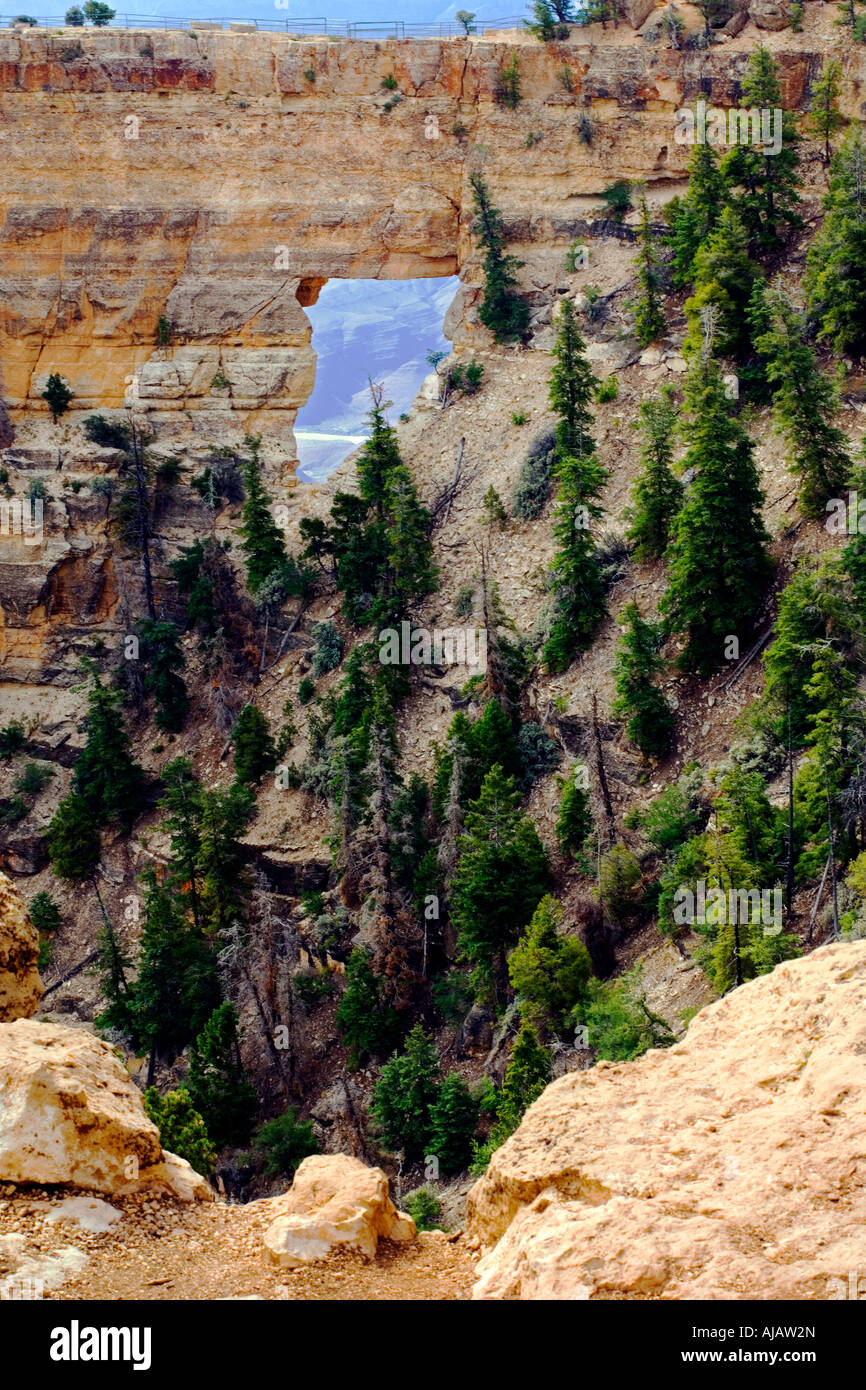 Angles Window North Rim of the Grand Canyon National Park Stock Photo ...