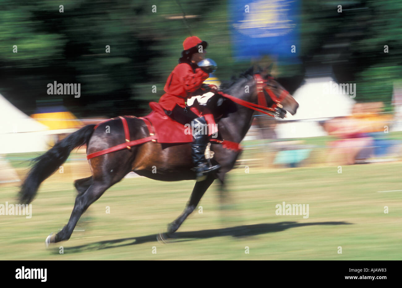 Charging Horse High Resolution Stock Photography and Images - Alamy