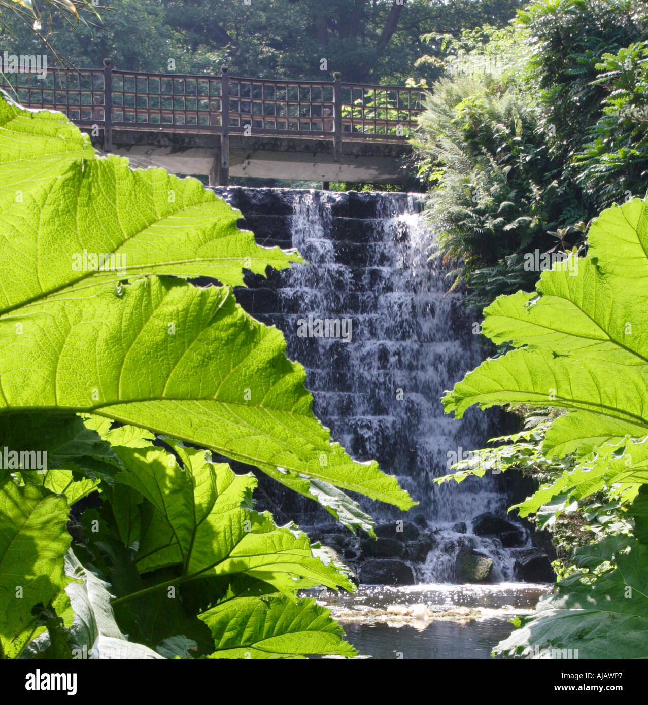 Himmalayan gardens hi-res stock photography and images - Alamy