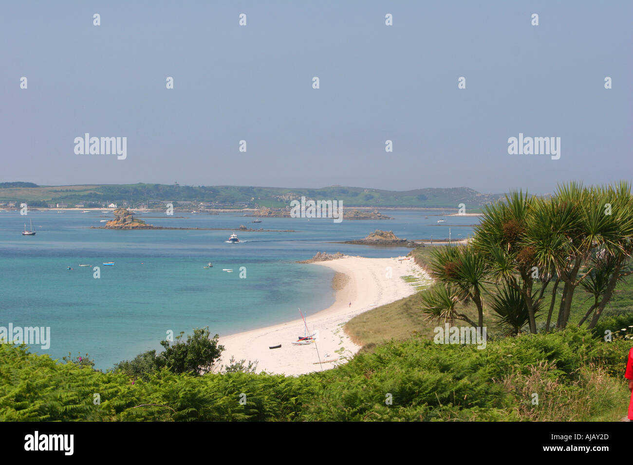 beach from above Stock Photo - Alamy