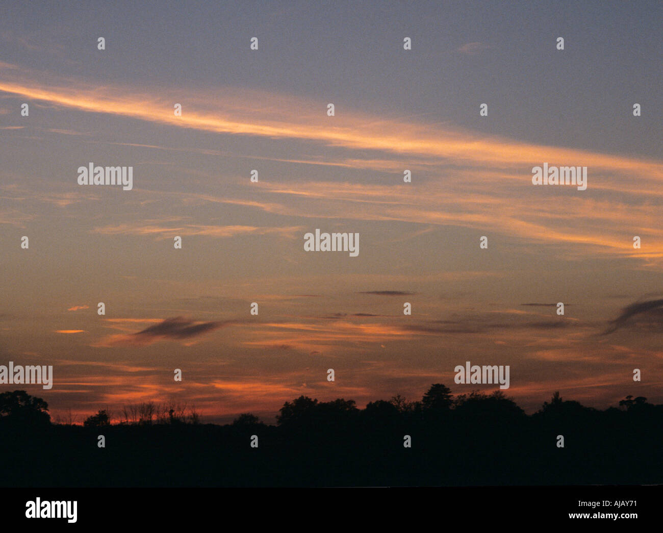 Angela sun hi-res stock photography and images - Alamy