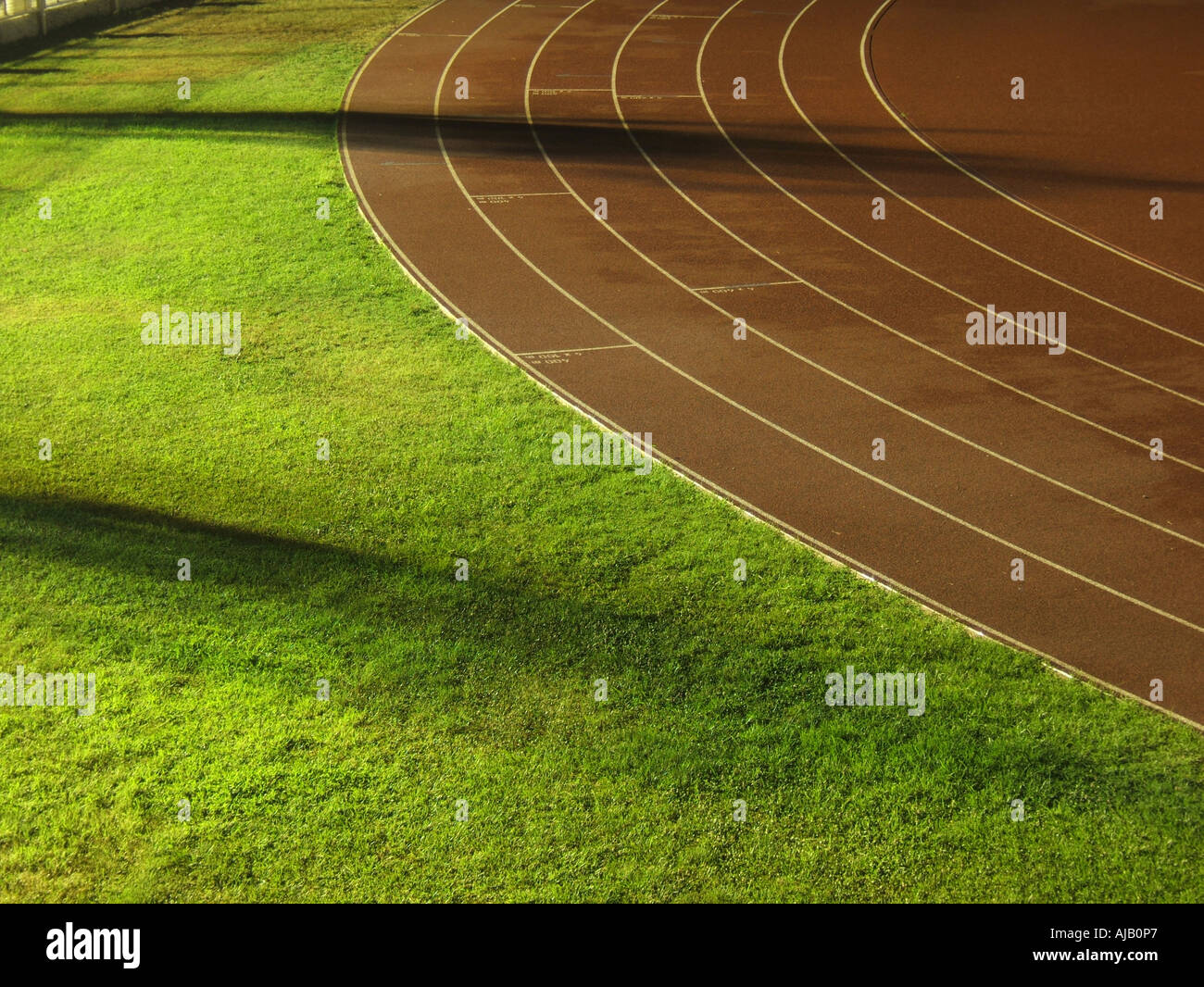 athletics track at night Stock Photo - Alamy
