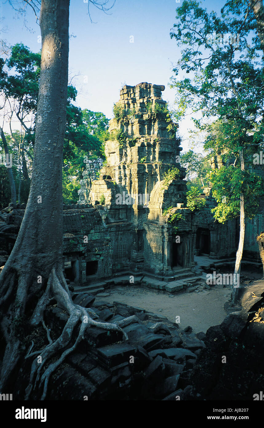 ta prom angkor cambodia se asia Stock Photo - Alamy