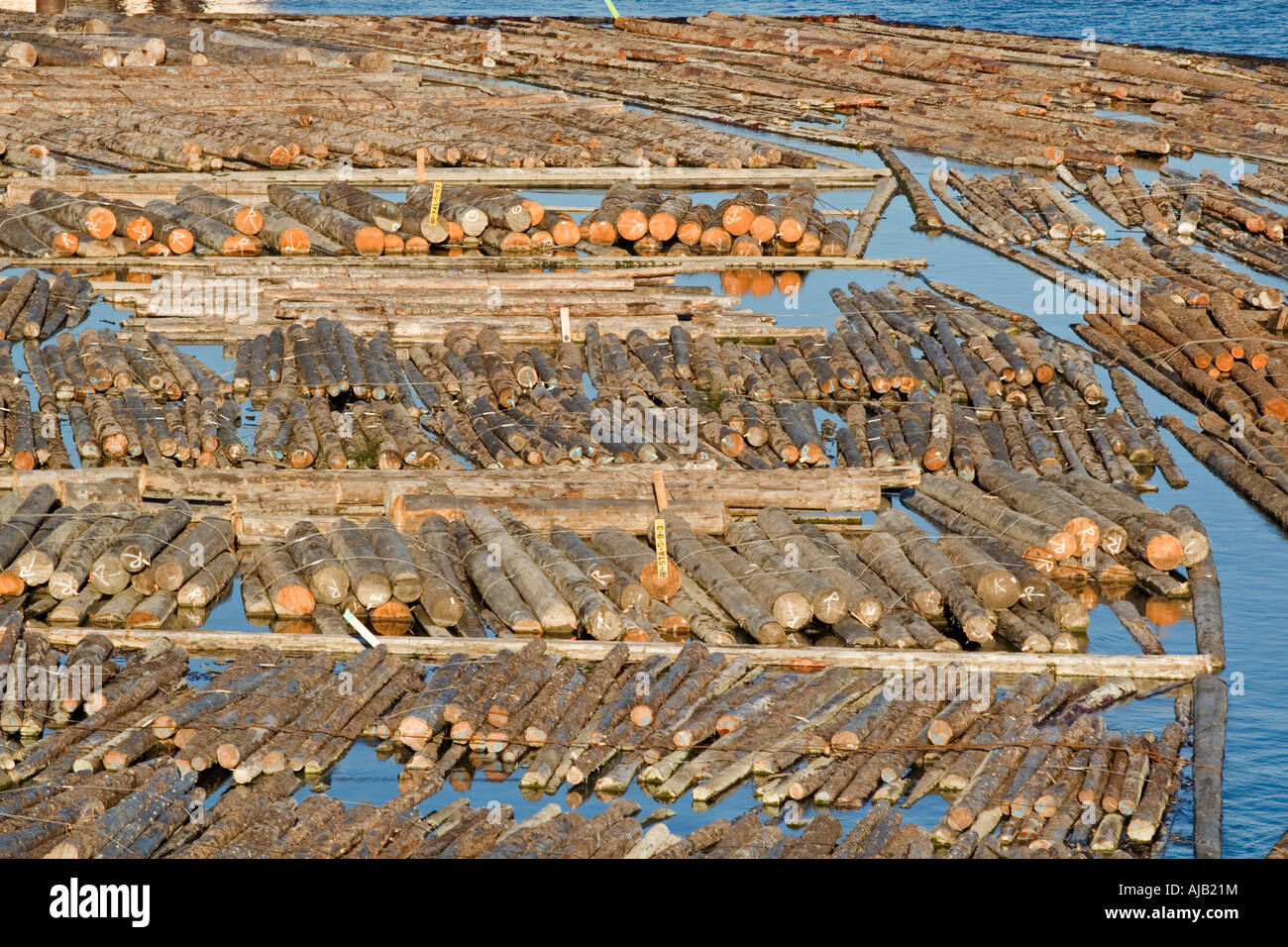 Logging mill hi-res stock photography and images - Alamy