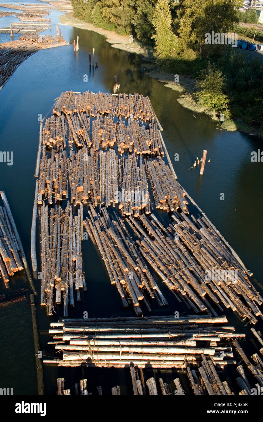 Logs at a Mill Stock Photo - Alamy