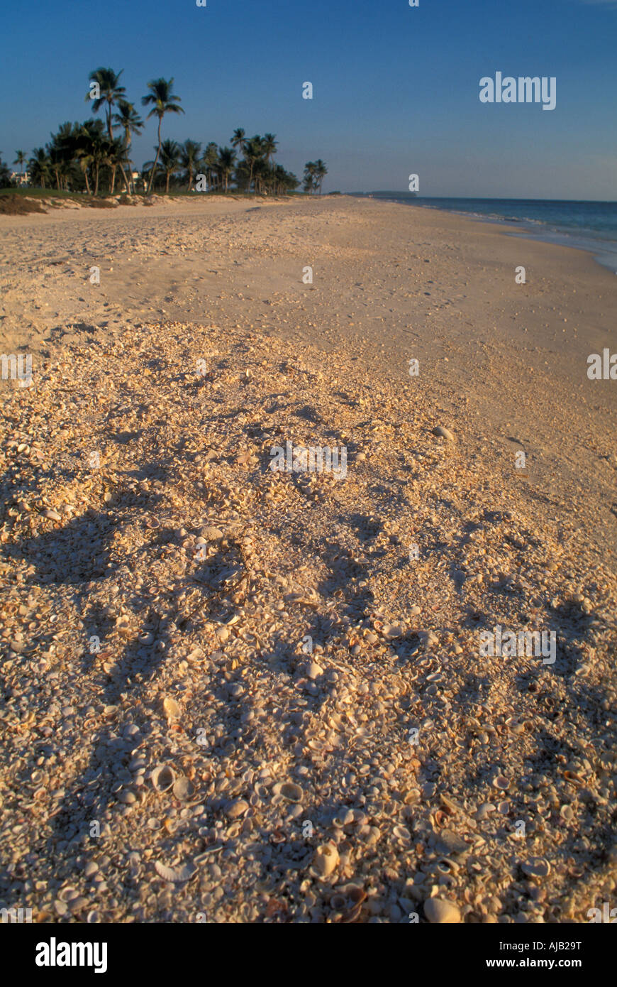 Captiva Island, Florida, deserted beach, sea shells, Captiva Island ...