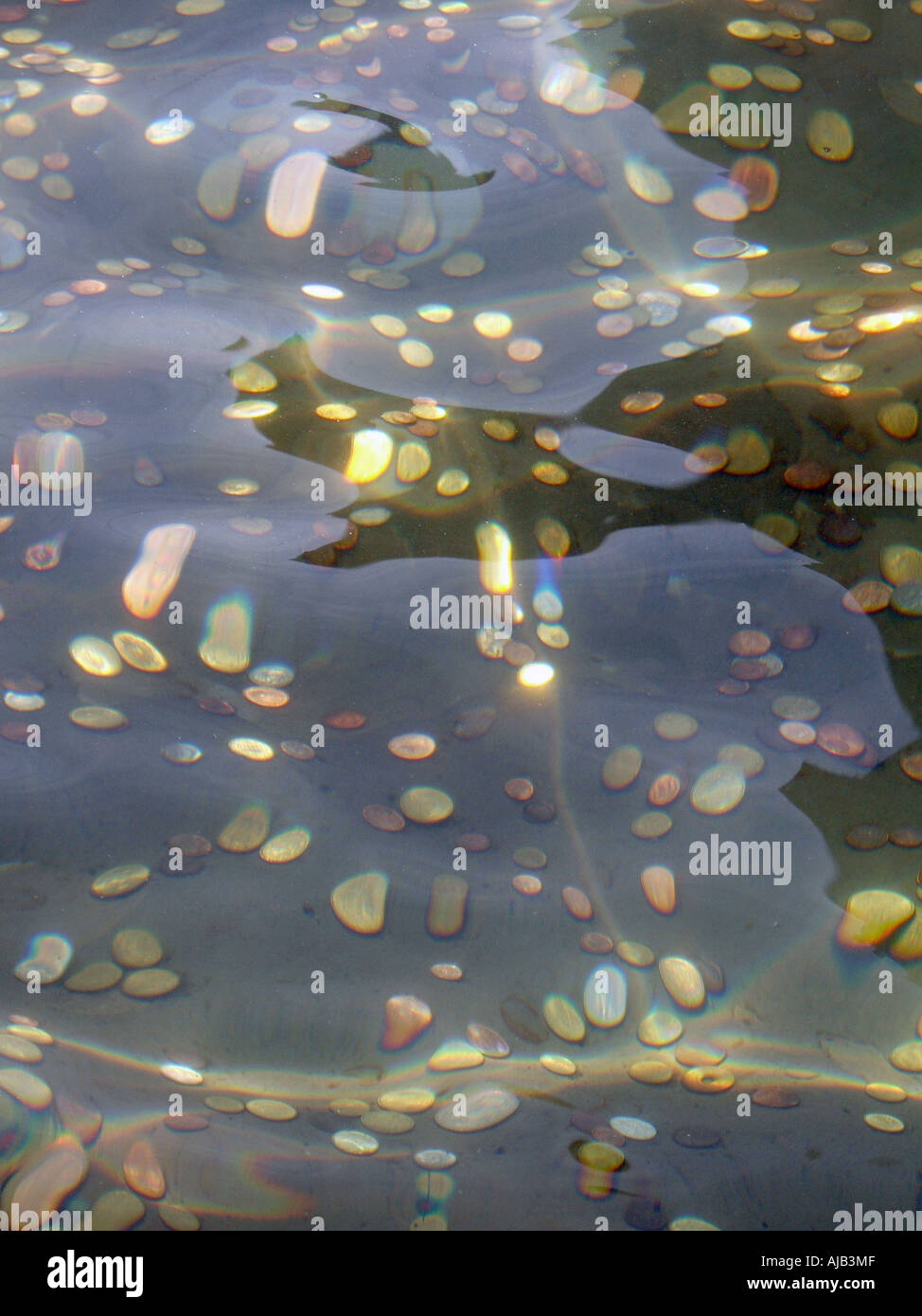 lots of coins in a wishing well Stock Photo - Alamy