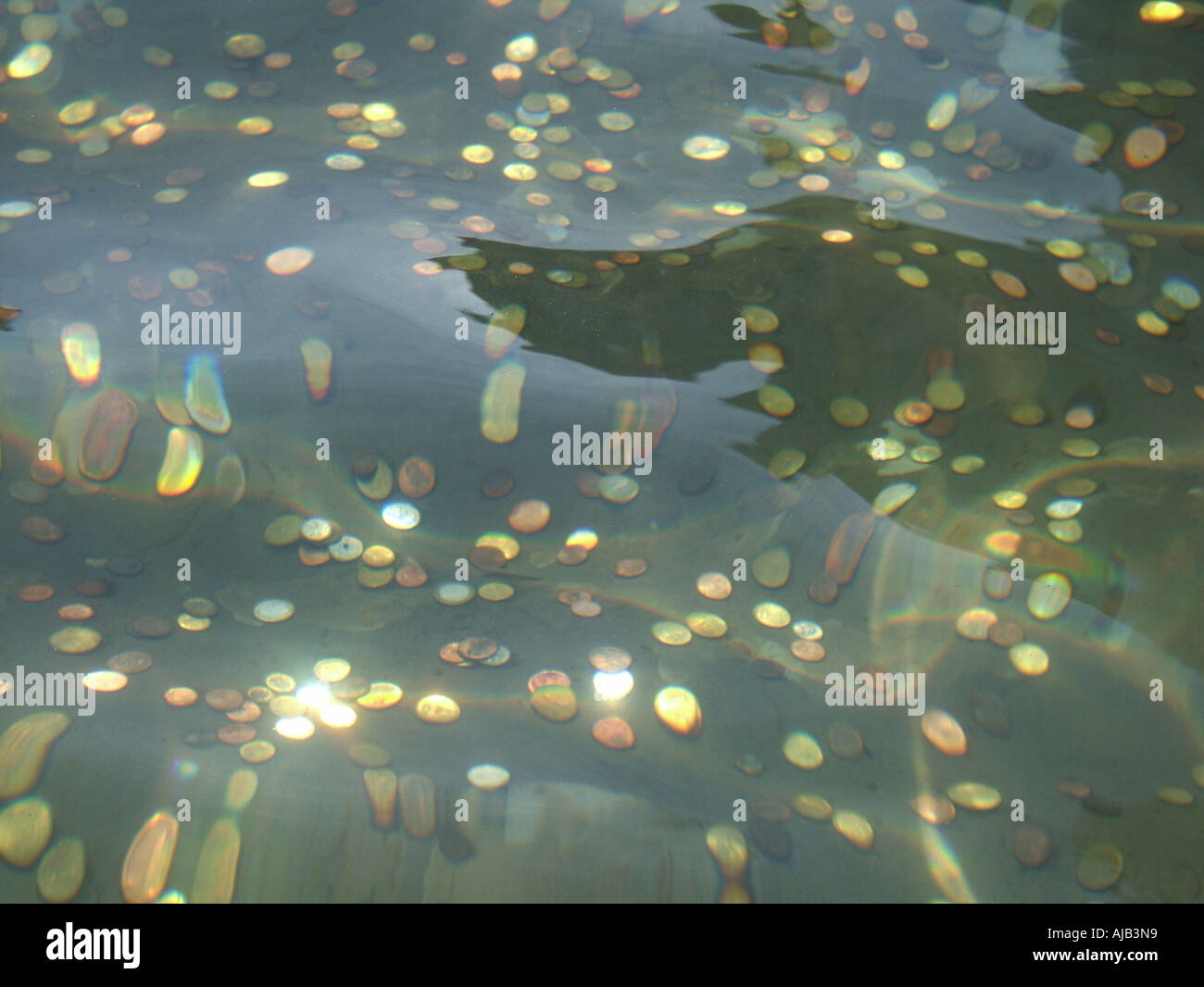 lots of coins in a wishing well Stock Photo - Alamy