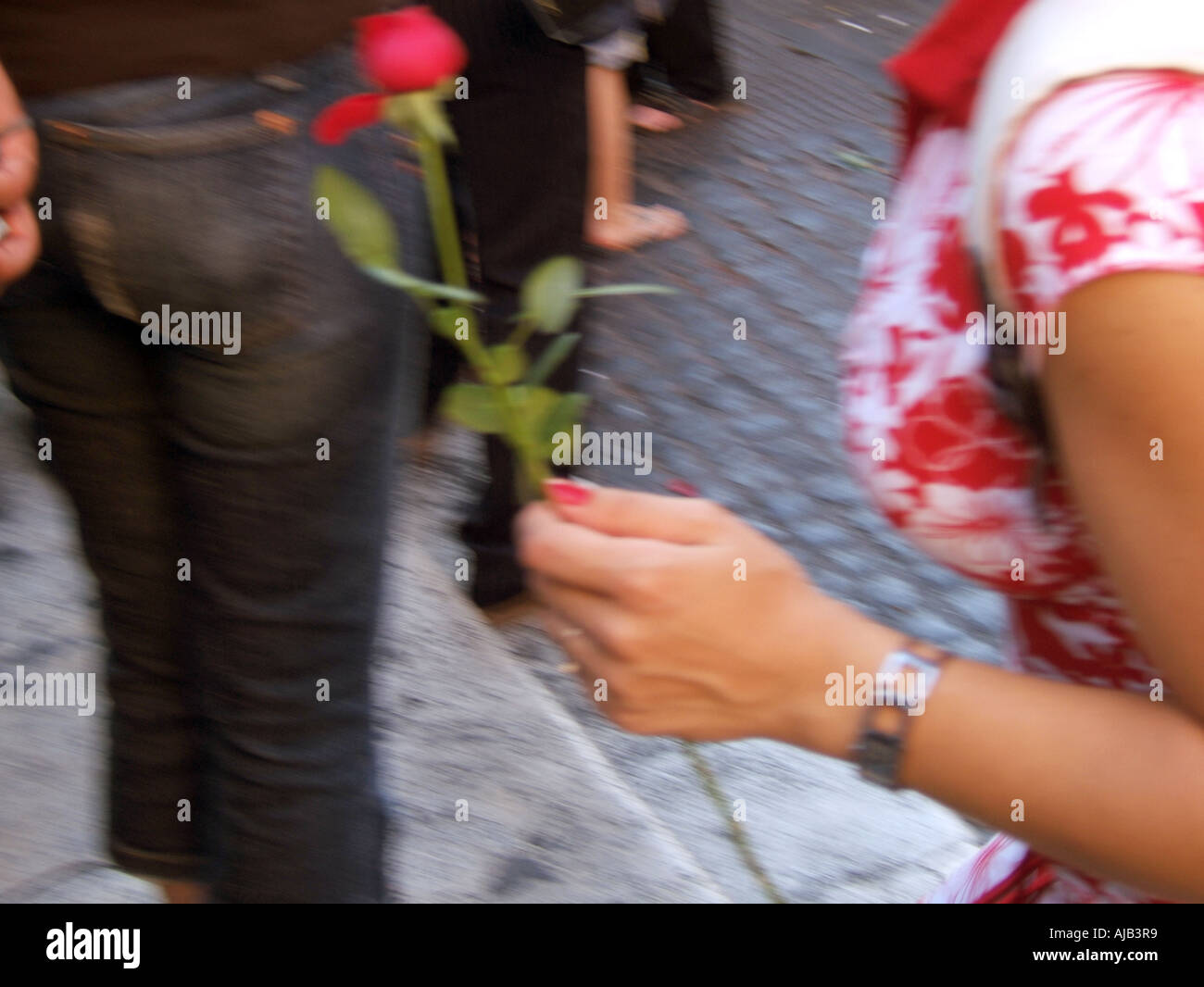 girl holding red rose in crowd Stock Photo - Alamy