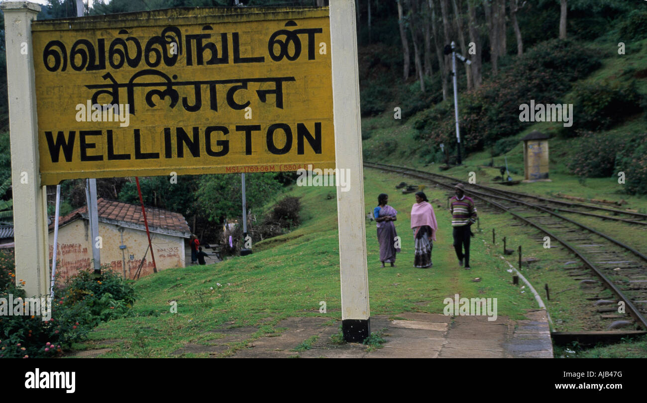 South India Tamil Nadu Ooty Single Railway Track Stock Photo - Alamy