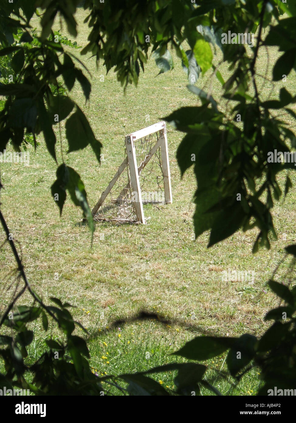 football pitch with mini goal seen through trees Stock Photo - Alamy