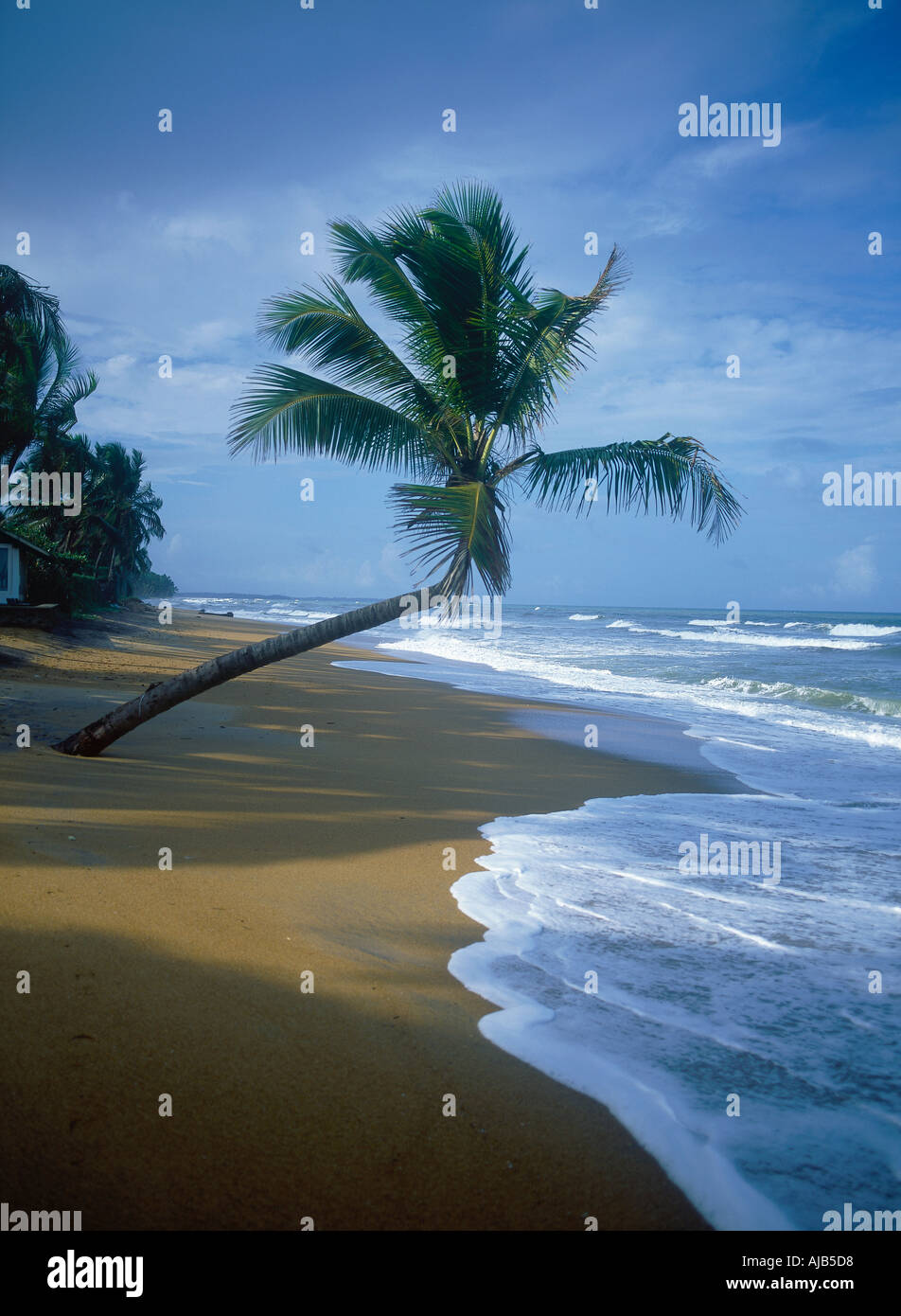 Kalutara hi-res stock photography and images - Alamy