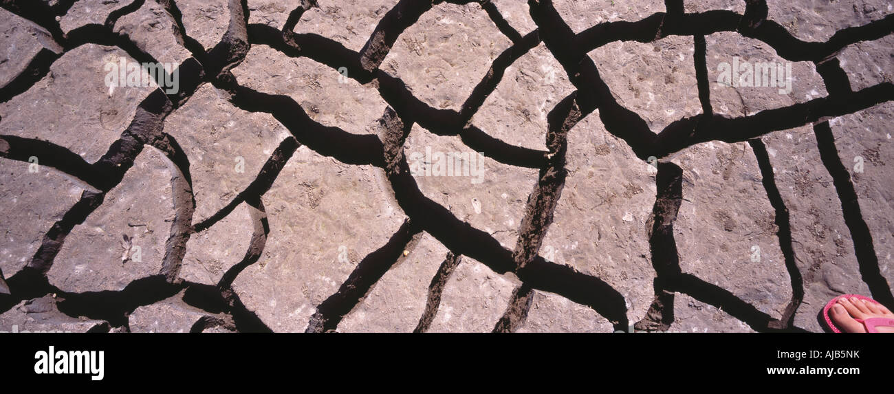 dry cracked river bed, Udaipur lake Stock Photo - Alamy