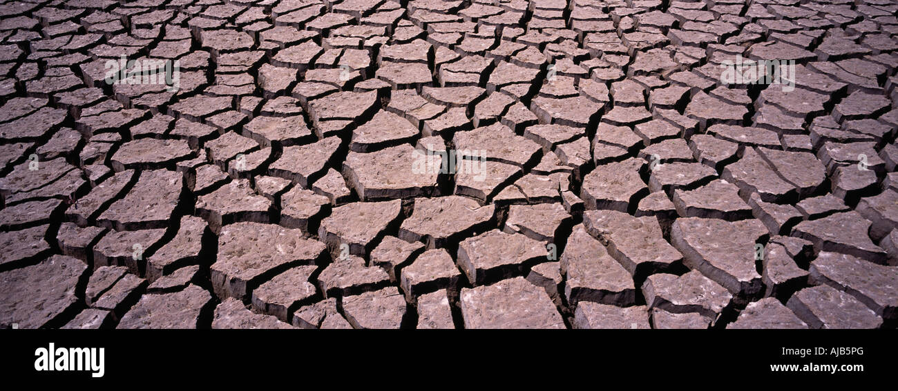 dry cracked river bed, Udaipur lake Stock Photo - Alamy