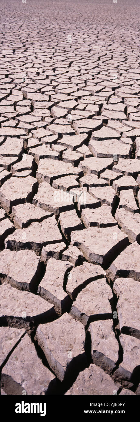 dry cracked river bed, Udaipur lake Stock Photo - Alamy